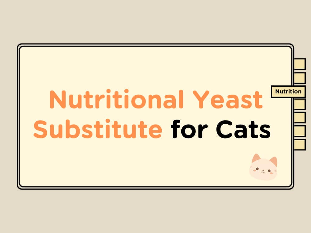 Nutritional Yeast Substitute for Cats: Safe Alternatives and Benefits