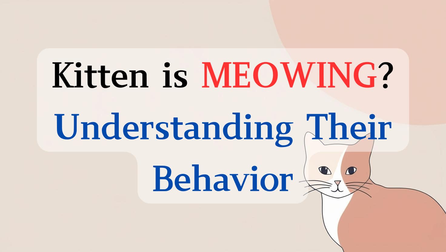 Why Is Your Kitten Meowing? Understanding Their Behavior
