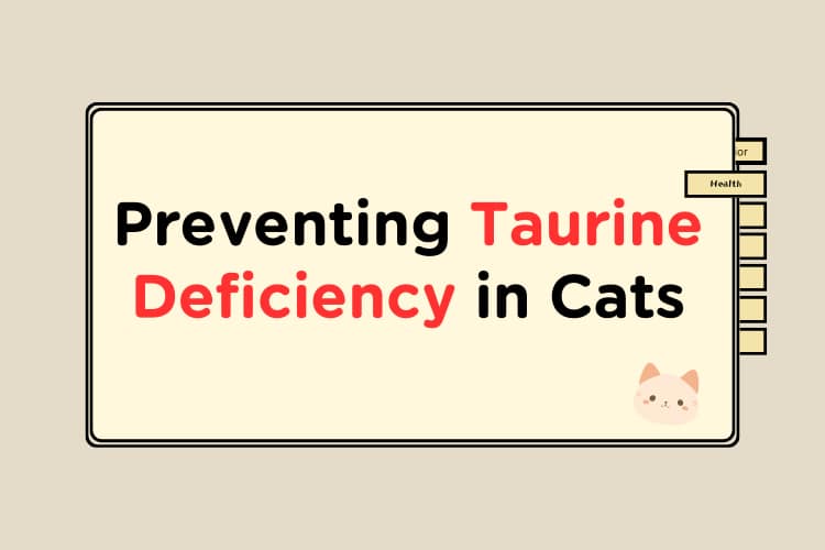 Preventing Taurine Deficiency in Cats